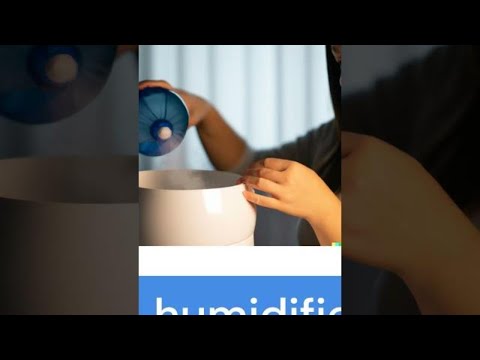 Is it better to put hot or cold water in a humidifier