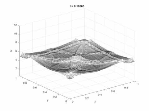 GitHub - lucacarniato/shallow-water-equations: 2D shallow water ...