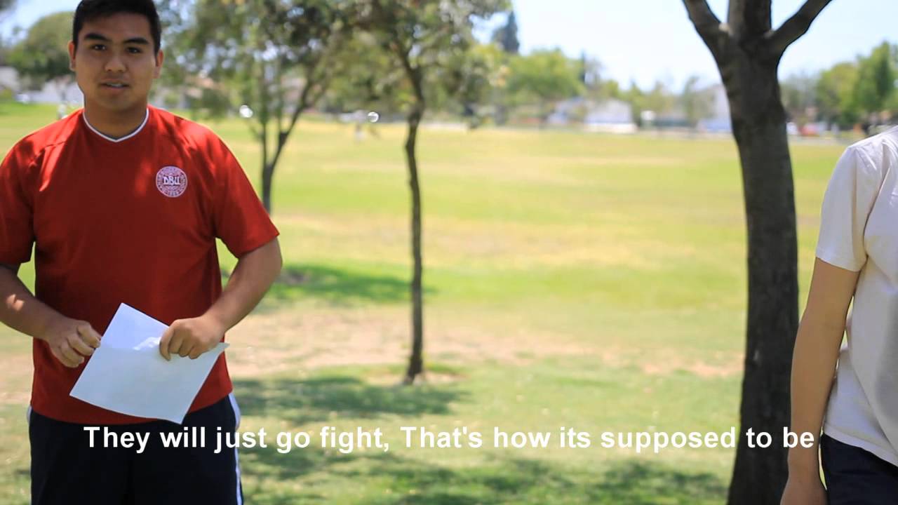 Video Project Ver 2 0