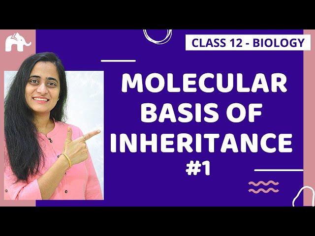 Understanding the Molecular Basis of Inheritance: A Comprehensive Overview | Galaxy.ai | Galaxy.ai