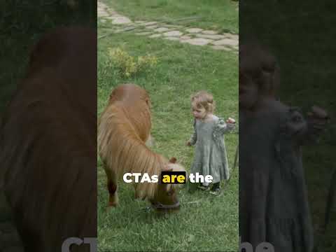 What is a Call To Action or CTA? | Marketing Strategies Explained | Marketing 101 |Digital Marketing