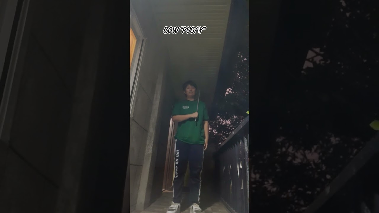 7 ARNIS BASIC STANCES