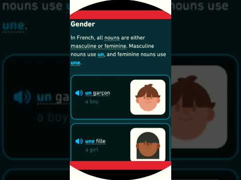 whats the difference between une and un #french #français #howtolearnfrench #bonjour @beingfrench