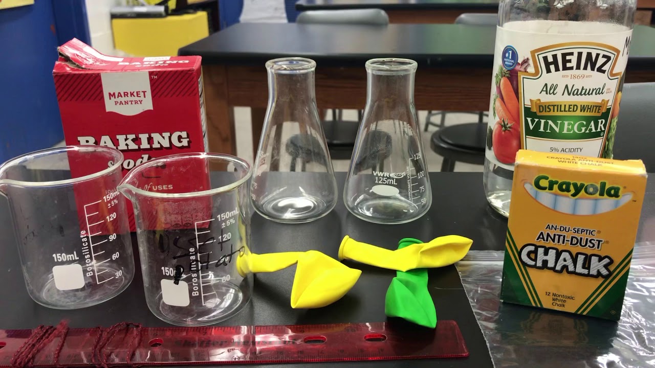 Carbon Cycle Lab