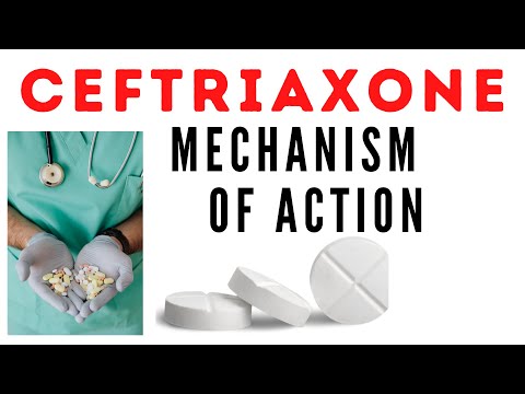 Ceftriaxone antibiotic