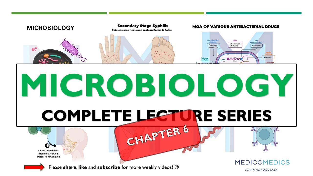 Microbiology Chapter 6 | Parasitology: Types, Life Cycles, Infections & Treatments