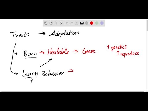 Which is the best definition of adaptation? a. a trait or behavior that aids an organism’s survival…