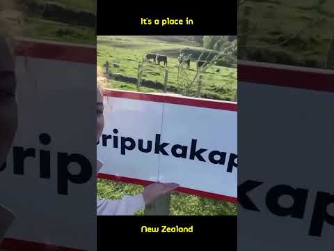 The Longest Place Name in New Zealand! π³πΏπ€―