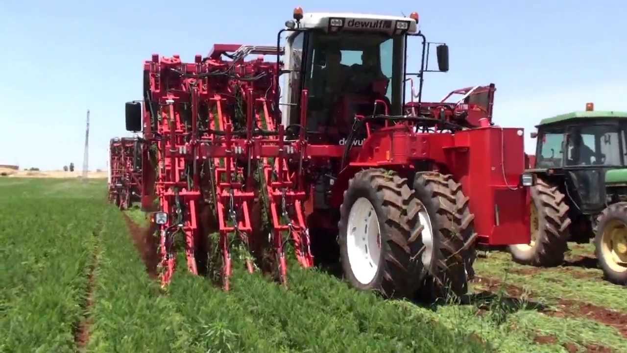 Automated Carrot Harvester Machines Are Mesmerizing to Watch in Action ...