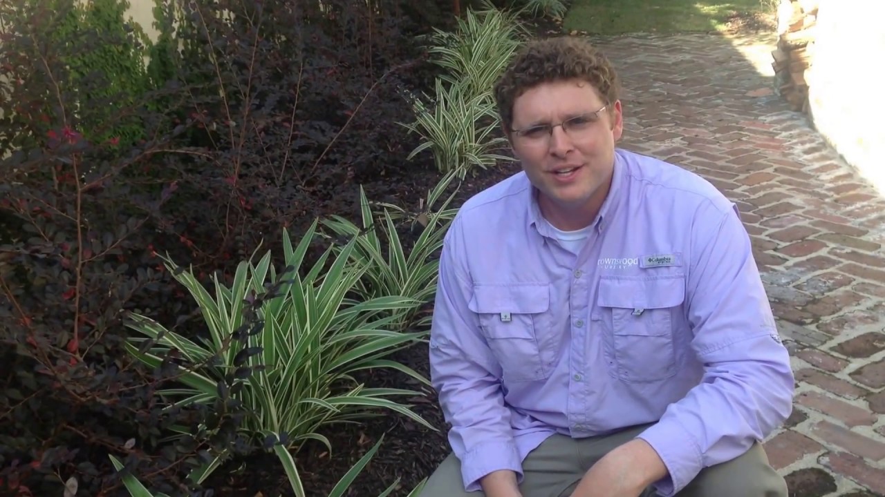 Landscape Tips: Tiering