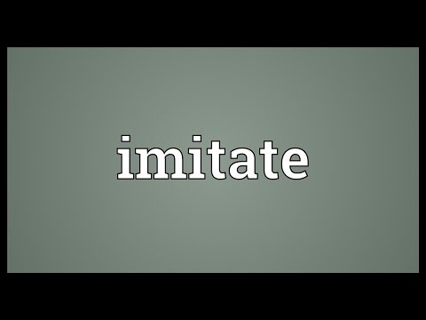 Imitate Meaning