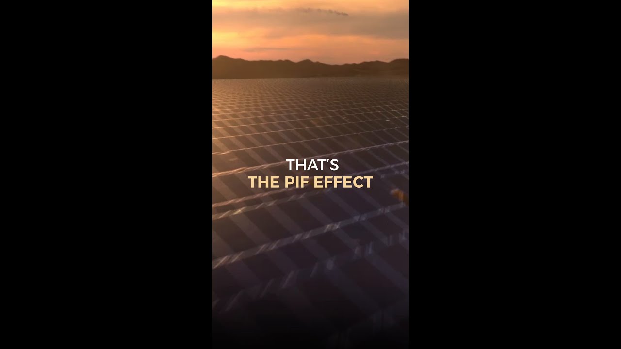 The PIF Effect: transitioning to a sustainable and resilient future