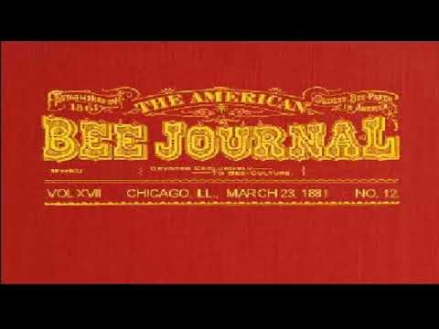 06 The American Bee Journal texas for bees and honey by Dr J E lay Audio Books