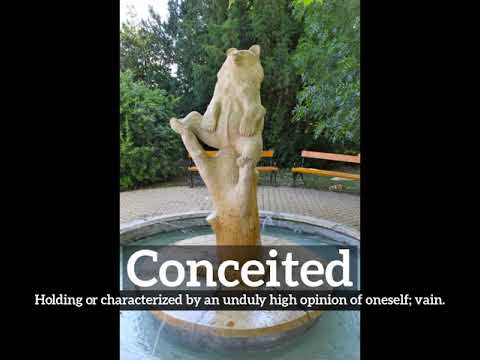 How Does Conceited Look? | How to Say Conceited in English? | What is Conceited?