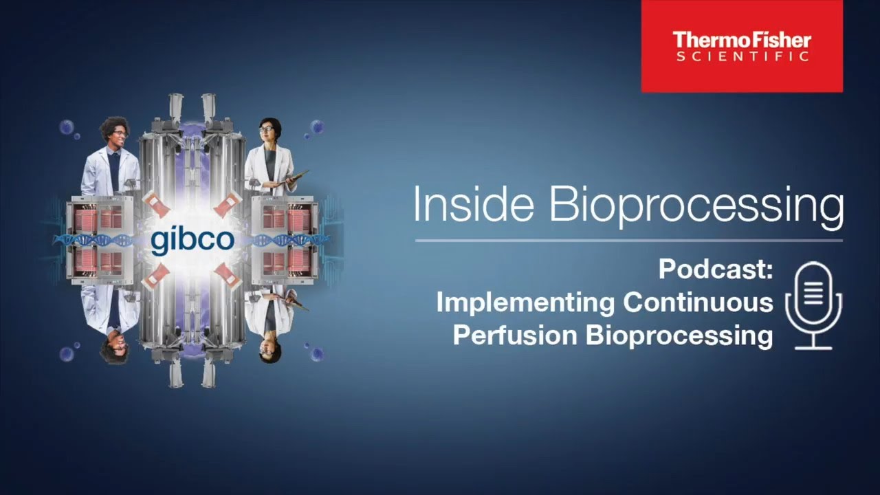 Inside Bioprocessing: Continuous Perfusion Bioreactors and Cell Culture Design