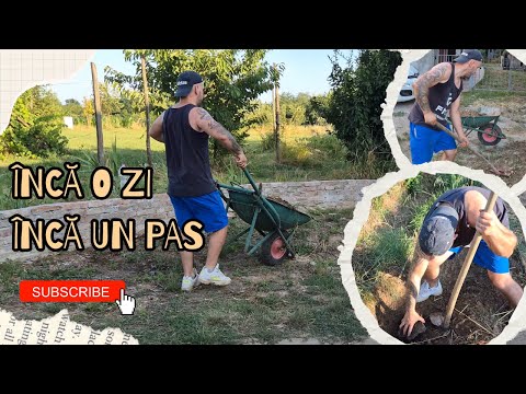 Încă o zi, încă un pas | Lucrez la grădină după program