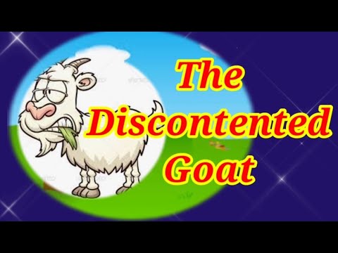 The Discontented Goat