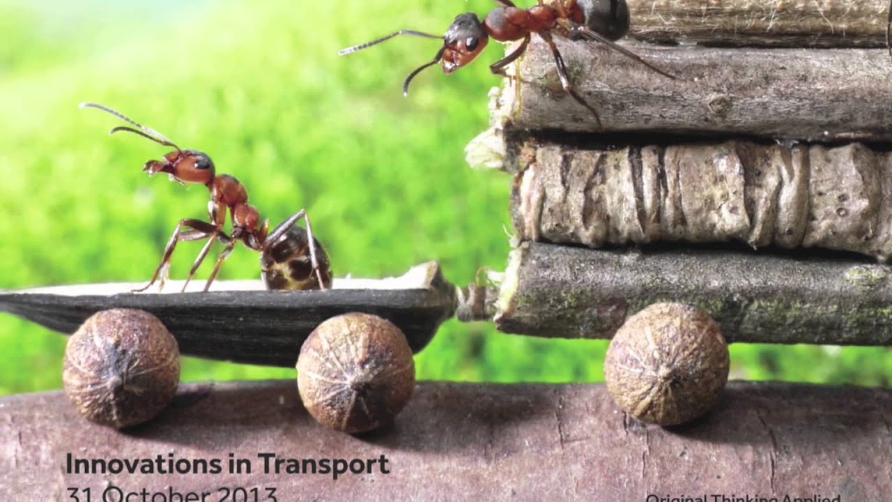 Innovations in Transport