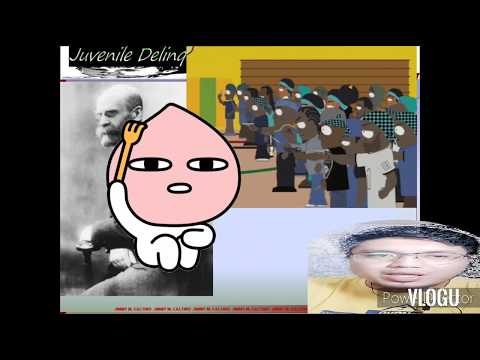 Juvenile Delinquency and Crime Prevention 07: The Anomie Theory