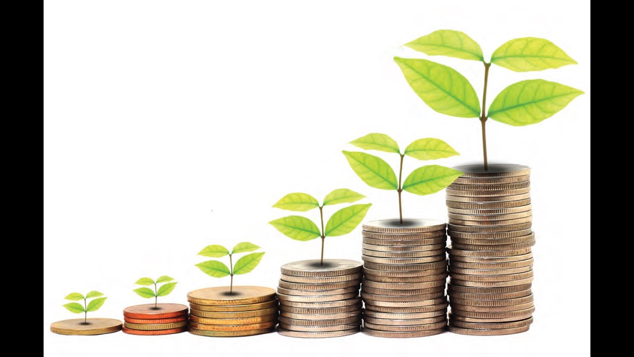 Sembrar te remunera: Diego A. Sosa