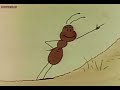 Sesame Street Ants Closed Watch HD Mp4 Video Download Free