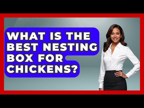 What Is The Best Nesting Box For Chickens? - The World of Agriculture