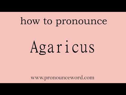 Agaricus: How to pronounce Agaricus in english (correct!).Start with A. Learn from me.