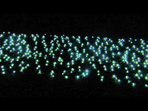 Programmable White LED Digital Net Light
