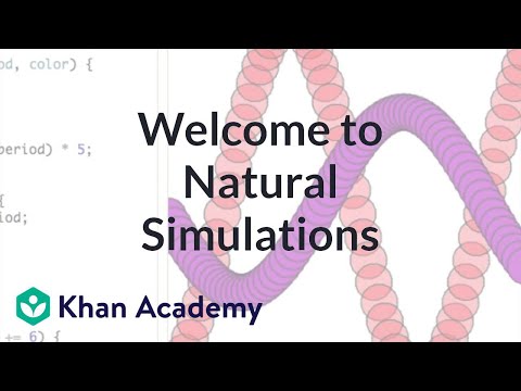 Welcome to Natural Simulations Video Lecture - IT and Software