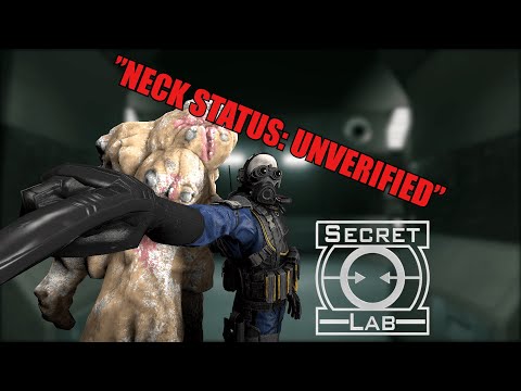 Steam Community :: SCP: Secret Laboratory