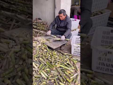 Cutting Firewood Machine