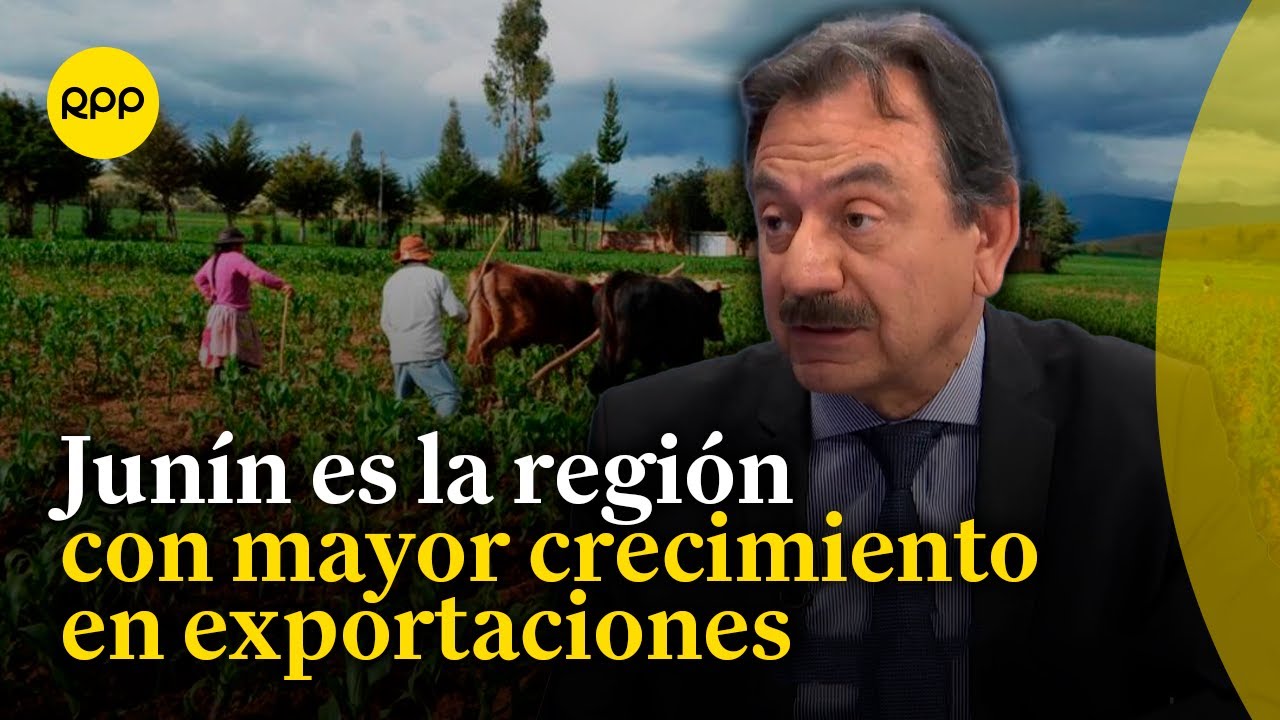 Nuevo gin peruano hecho a base de arándanos cambia de color al ...