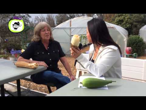 SLO TV: The Luffa Farm