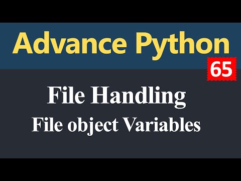 Learn File Object Variables in Python Hindi - Mind Luster