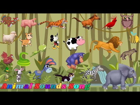 Animal Sounds Song | English Nursery Rhyme | Kids TV