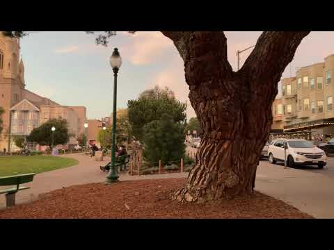 Washington Square Park Evening North Beach San Francisco California