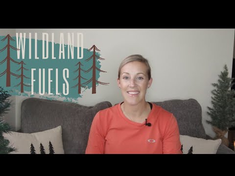 Wildland Fuel Characteristics and Types