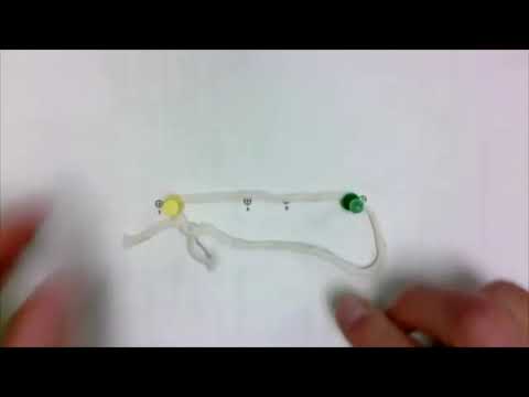 Eccentricity Ellipse Lab 1