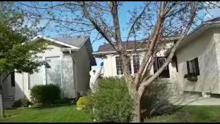 3 Best Pest Control in Saskatoon, SK - Expert Recommendations