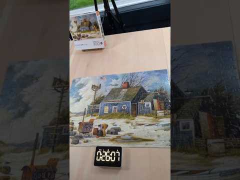 #346 | Peddler's Hope Chest | 300 Pieces (Timelapse)