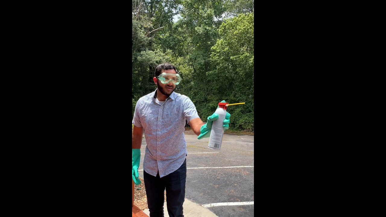 Wasps vs. DIY Pest Control