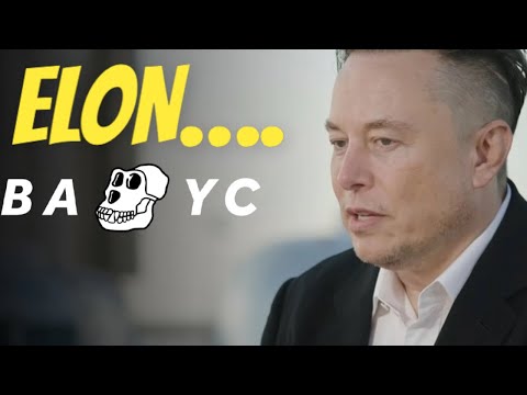 ELON MUSK AND NFT TWEET. WHAT DOES THIS MEAN?