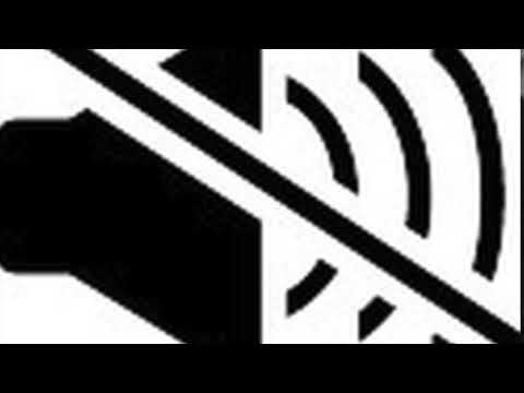 How To Pronounce The Word "Mute"