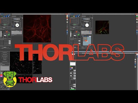 ThorImage®LS Software Walkthrough