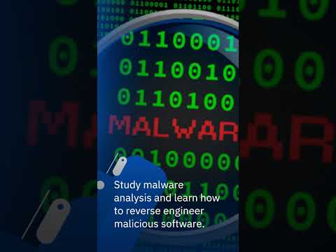 "Why Cybersecurity Analysts Are Crucial in Today's Digital Age"