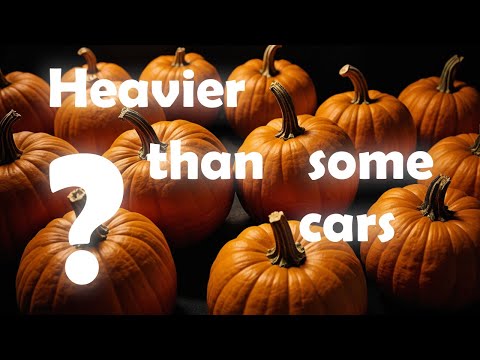 Curious facts about Pumpkins