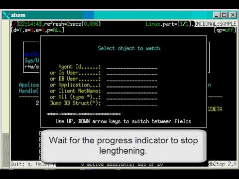 db2top: The Watch feature