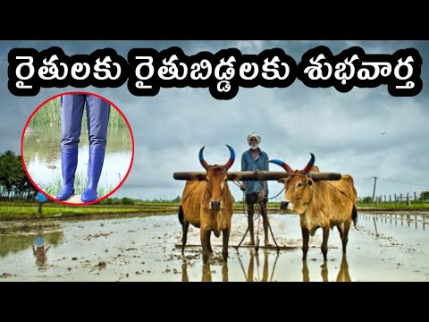 Farming Boots - Paddy Shoes & Boots Latest Price, Manufacturers & Suppliers