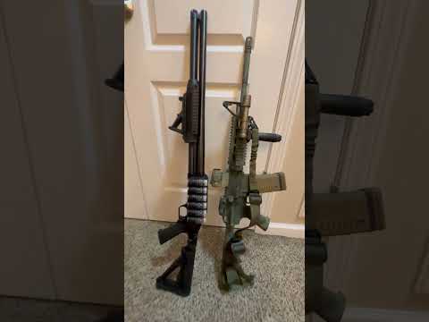 Shotgun VS AR15… the great debate‼️‼️ What are you choosing 🤔 #gun #ww3 #shotgun #ar15 #palmetto