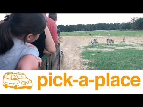 Pick-a-Place: Wildlife Safari in Jackson MS